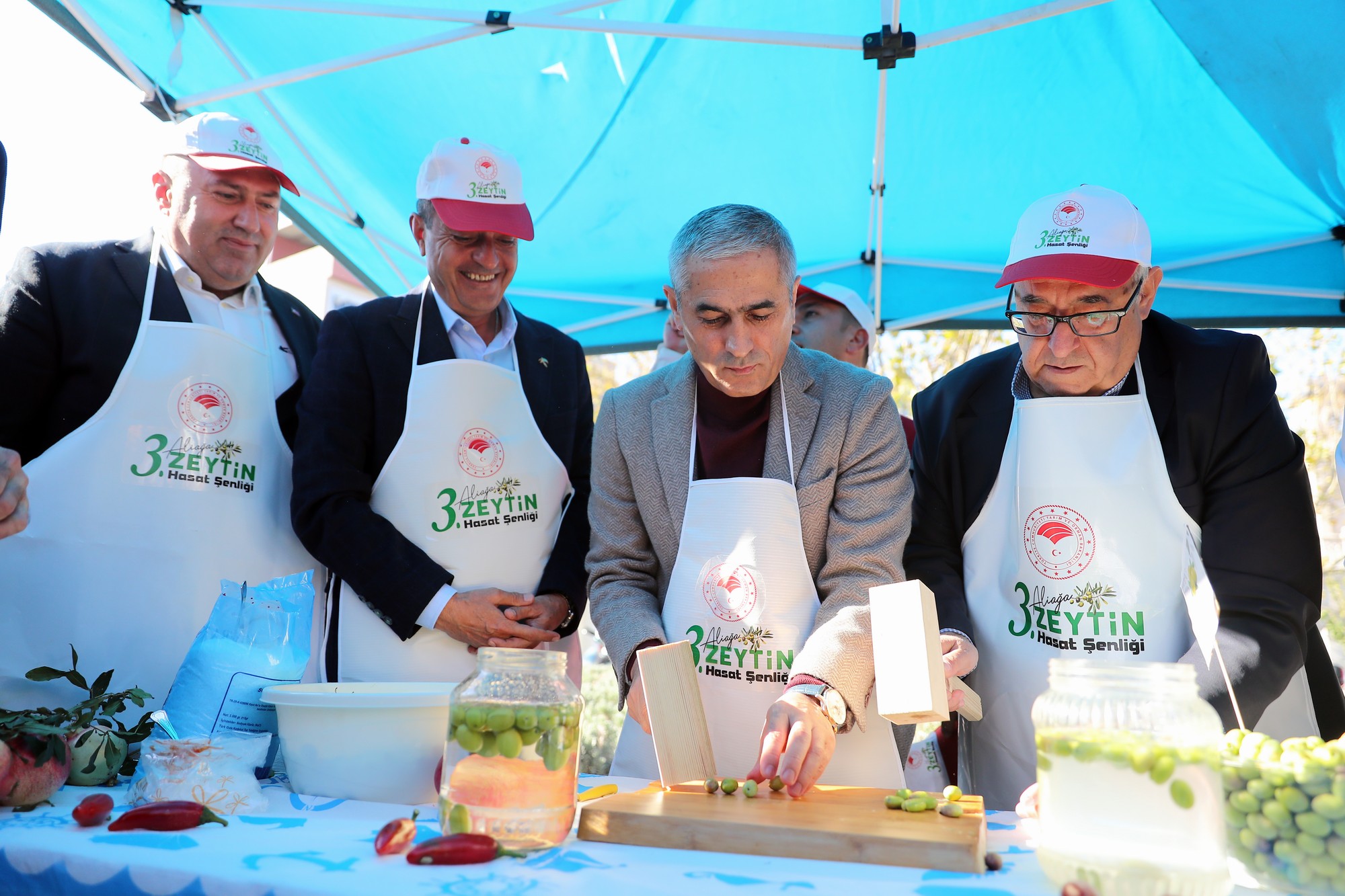 Aliağa’da 3. Zeytin Hasat Şenliği düzenlendi - Hibya Haber Ajansı